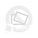 فرشته ماهی کرایسوروس (Chrysurus Angelfish)